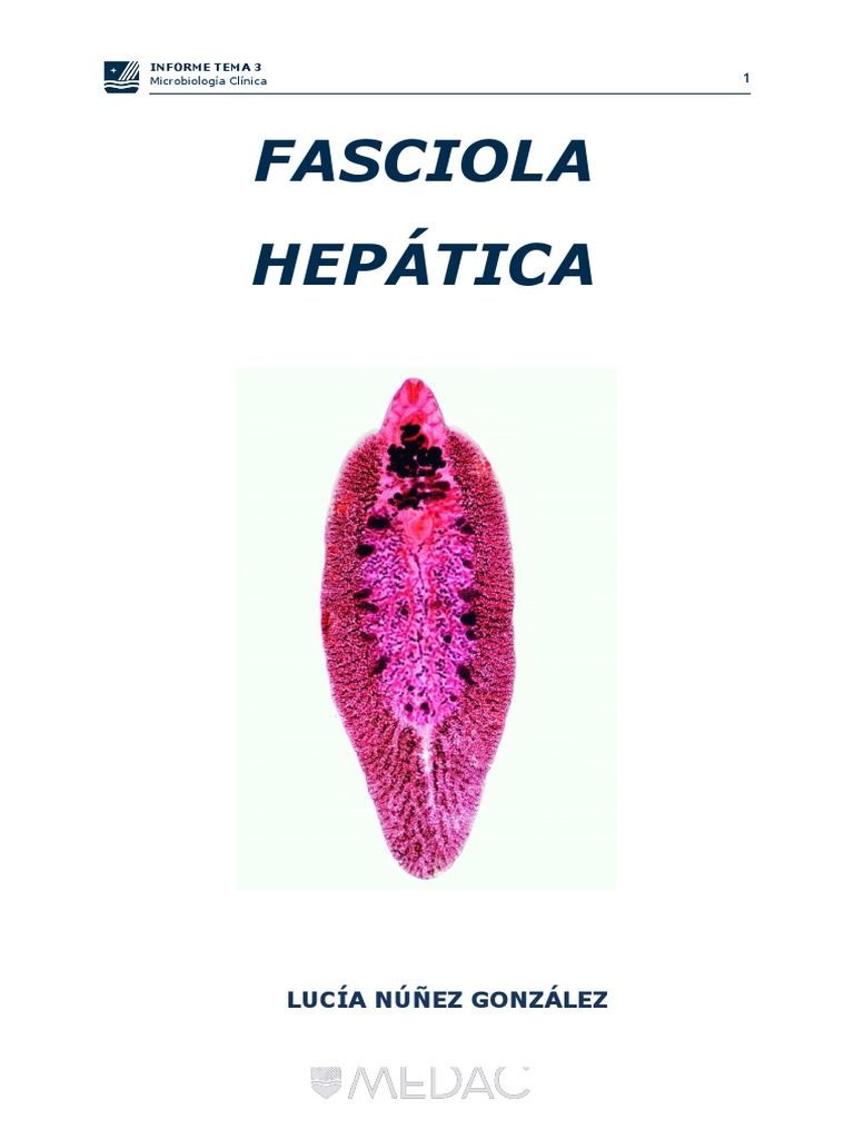 Fasciola Hepática | PDF | Especialidades Medicas | Medicina CLINICA