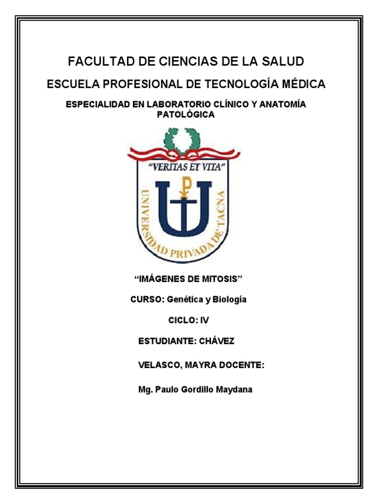 Imágenes de Mitosis Mayra | PDF