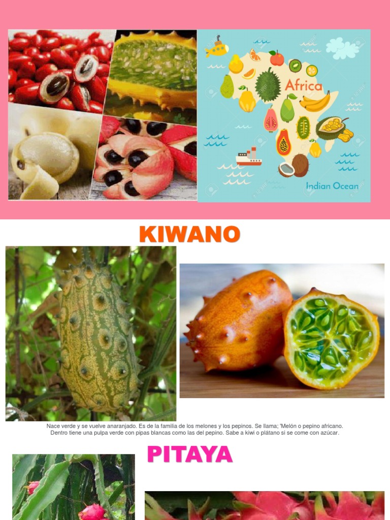 Verduras Nativas Africanas Verduras Africanas Etsy España