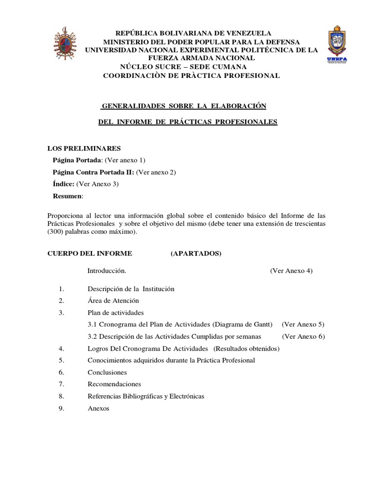 Estructura De Informe De Prácticas Profesionales Pdf Encuadernación