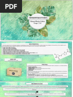 Prospecto NIFURYL | PDF | Infección del tracto urinario ...