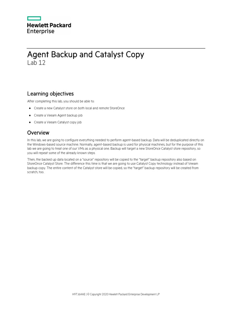 H9tj6aae Lab12 | PDF | Backup | Login