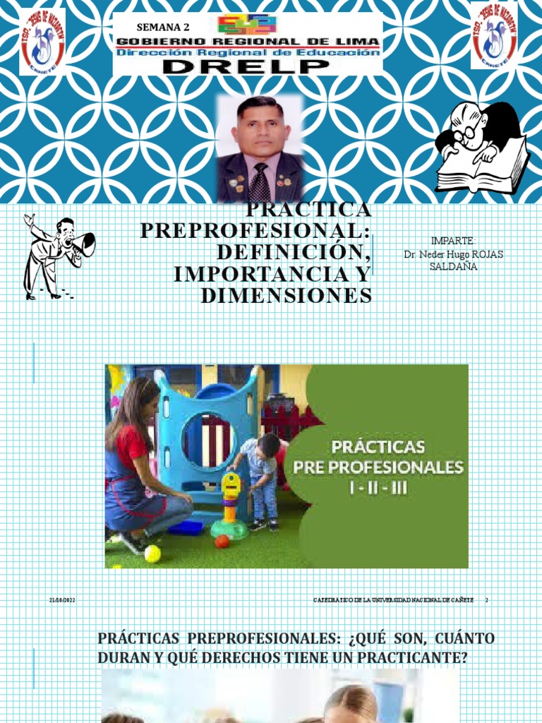 Práctica PREprofesional - Definición - Importancia y Dimensiones | PDF