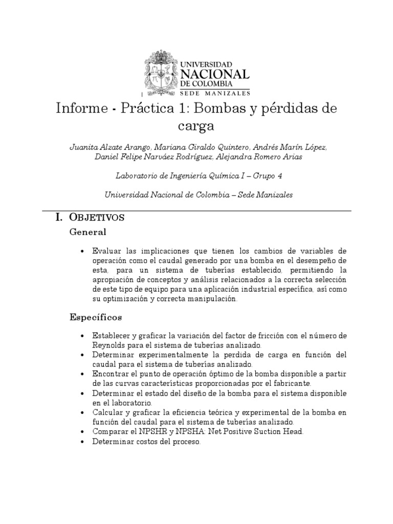G4 P1 Informe | PDF | Ingeniería Química | Mecánica de Medios Continuos