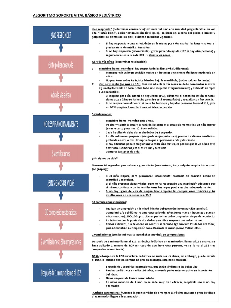 Esquema Algoritmo SVB Pediátrico | PDF | Reanimación cardiopulmonar ...