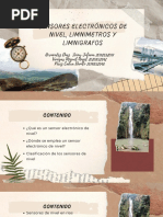 Limnimetros y Limnigrafos | PDF | Calibración | Agua