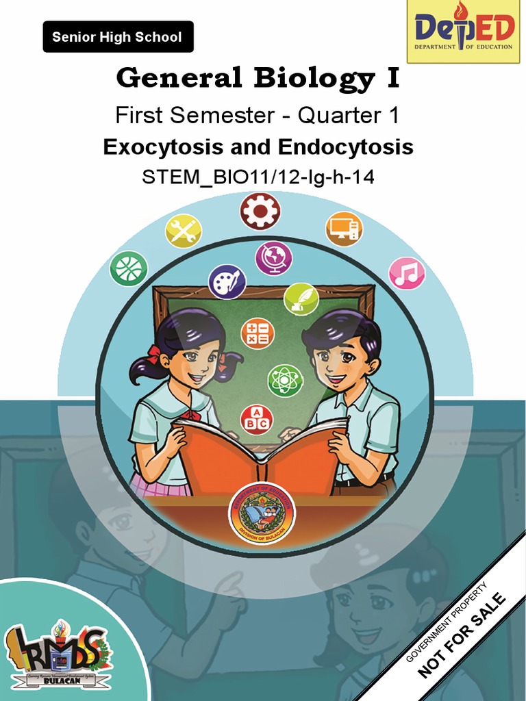 General Biology 1 First Sem Q1 Exocytosis and Endocytosis by Edna v ...