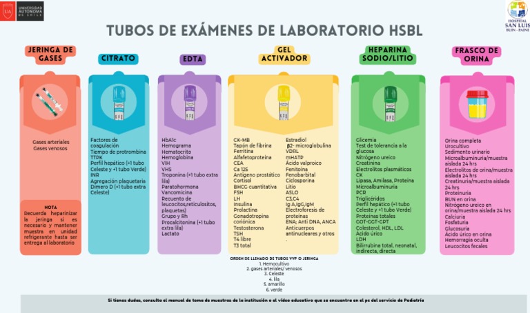 Tubo de Exámenes de Laboratorio | PDF