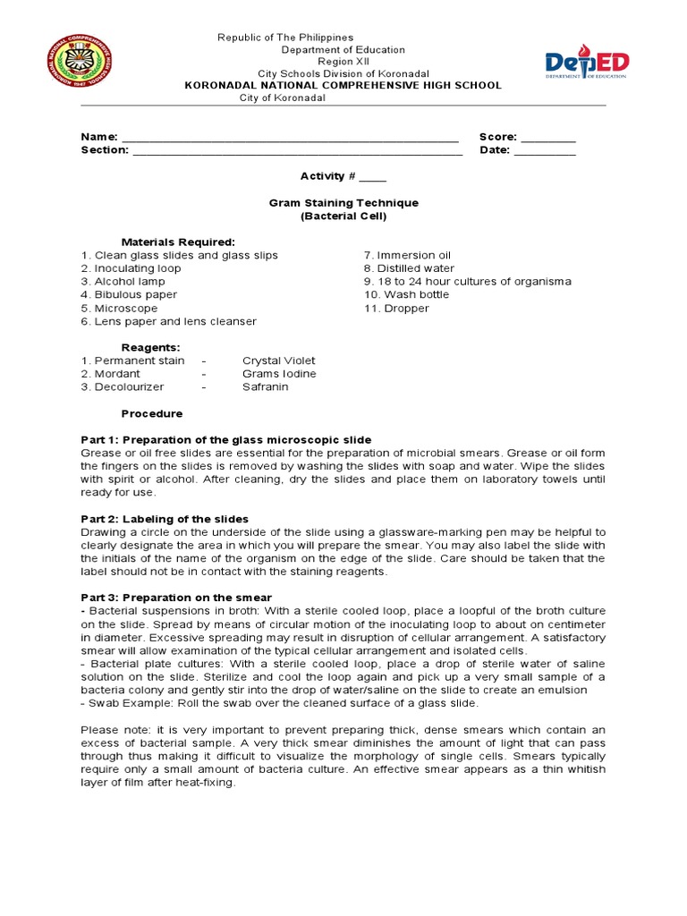 Gram Staining Technique Bacterial Cell Pdf Staining Fixation