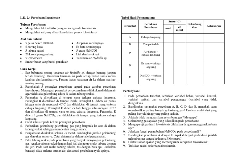 L.K. 2.4 Percobaan Ingenhousz | PDF