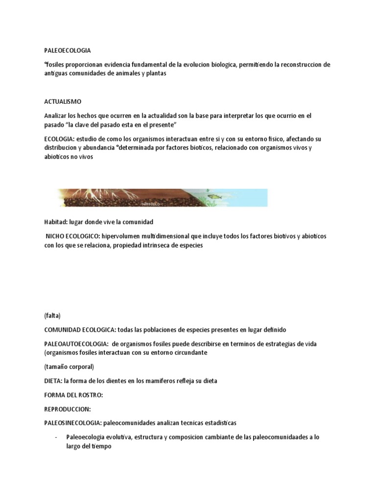 Paleontologia Unidad 4 Paleoecologia | PDF | Ecología | Nicho ecológico