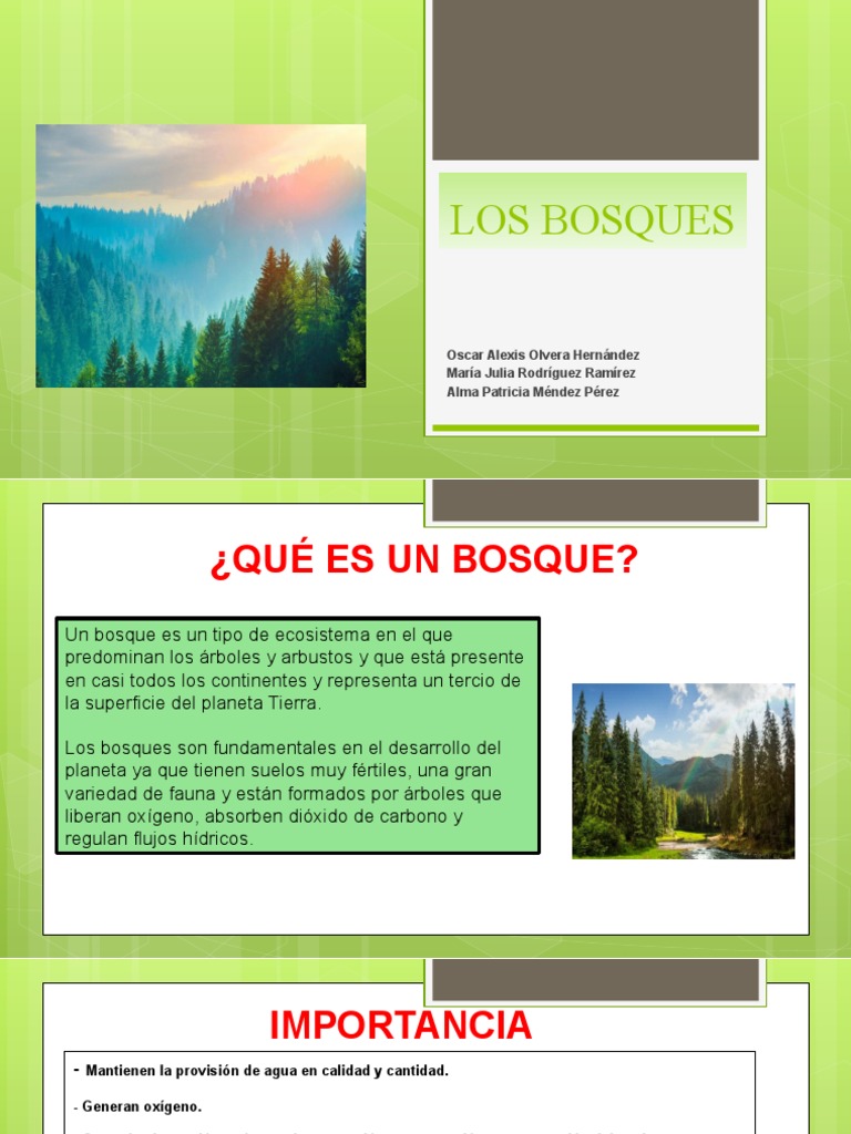 Los Bosques | PDF | Los bosques | Arboles