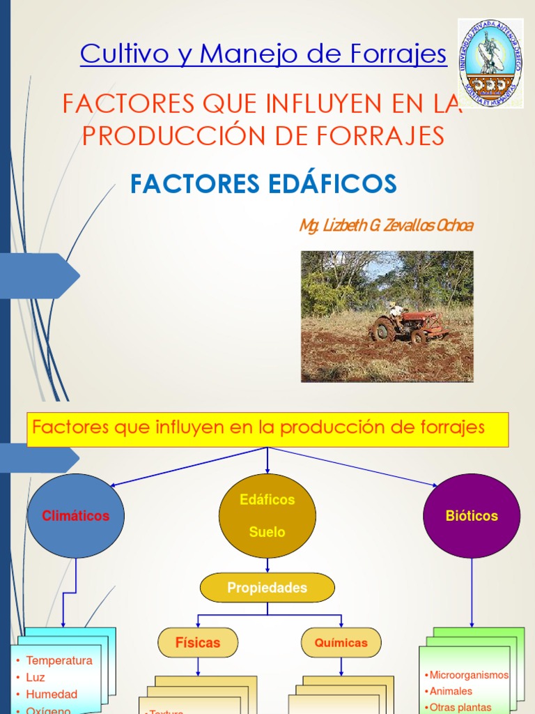 Sesión 5 - Factores Edáfico Que Influyen La Producción de Forrajes ...