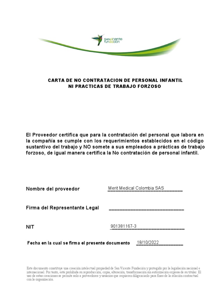 13 Plan Carta Compromiso No Forzoso Noinfan | PDF