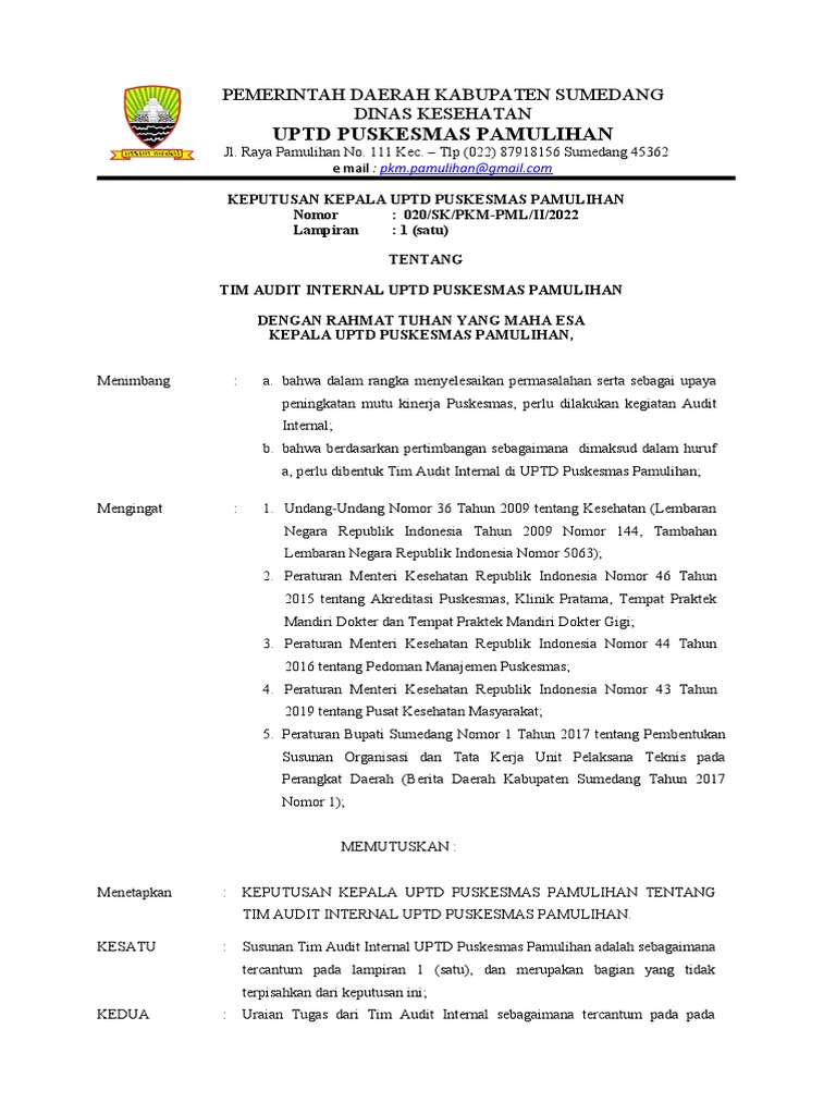Tim Audit Internal Puskesmas Pamulihan | PDF | Pengelolaan Keuangan & Uang