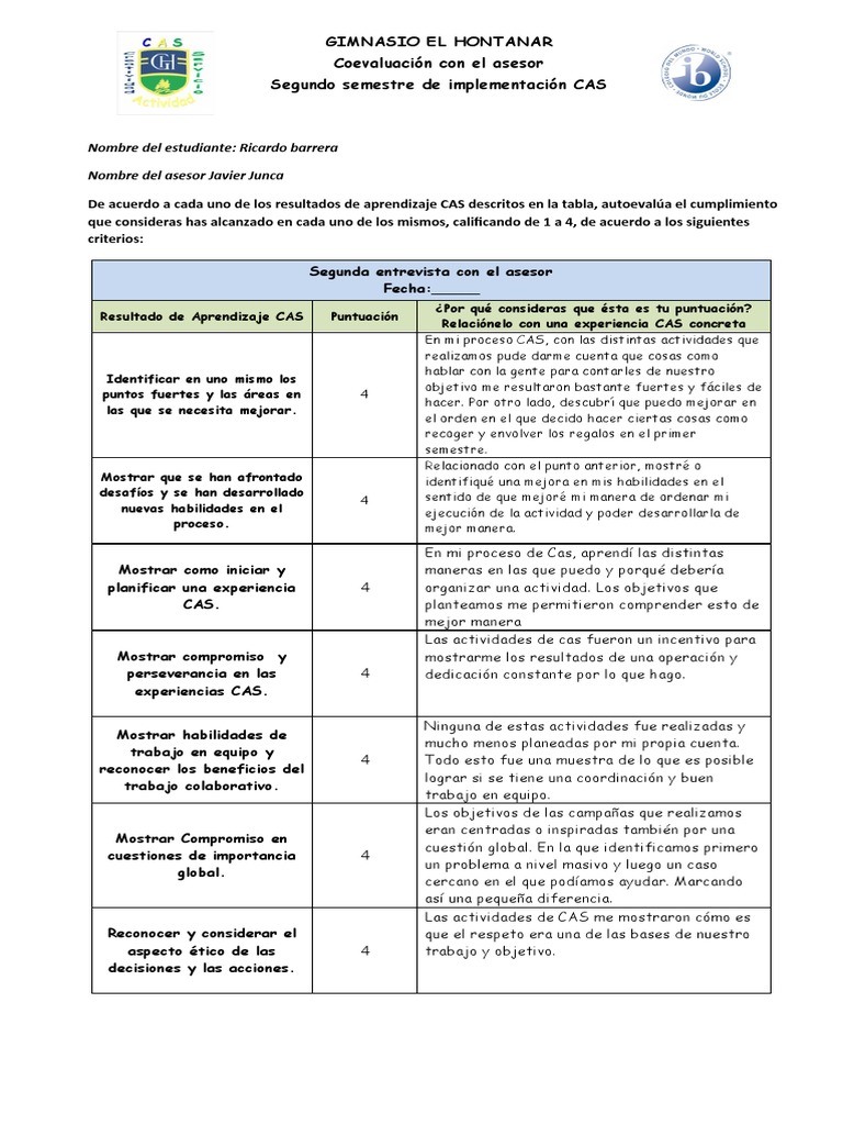 Segunda Entrevista Con El Asesor Ricardo | PDF | Creatividad | Aprendizaje