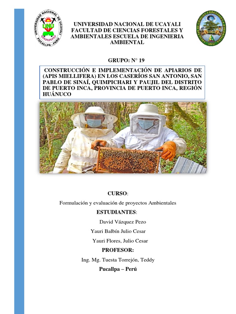 Implementación de Apiarios en Puerto Inca | PDF | Apicultura | Colmena