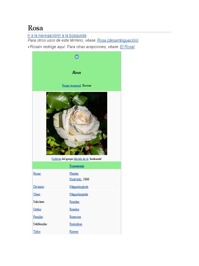 Rosa | PDF | Rosa | Botánica
