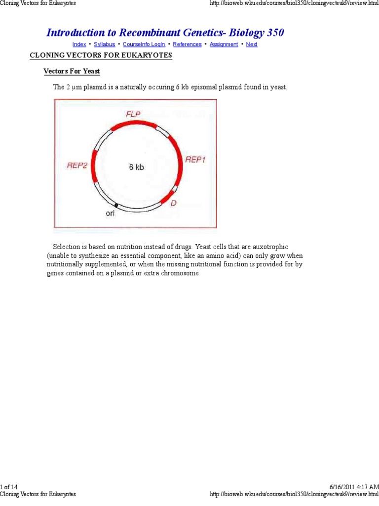 Cloning Vectors For Eukaryotes | PDF | Plasmid | Molecular Cloning