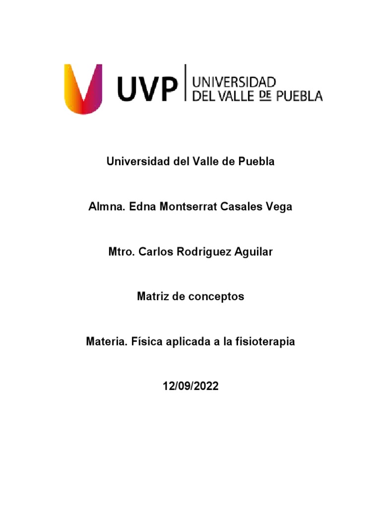 Matriz de Conceptos. Física | PDF | Fuerza | Calor