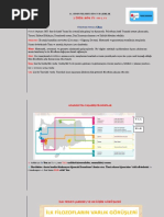 10.sinif Yeni Mufredat Felsefe Ders Notlari | PDF