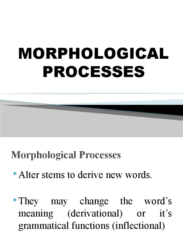 Morphology for Linguistics Students | PDF | Morphology (Linguistics ...