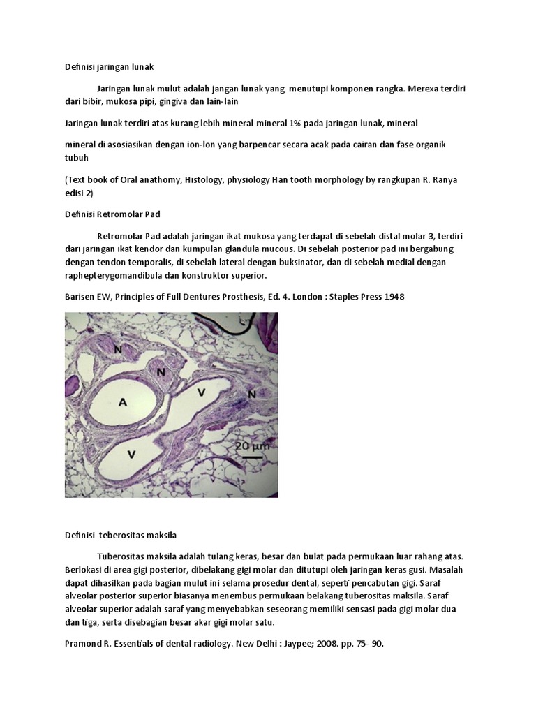 Retromolar Pad | PDF