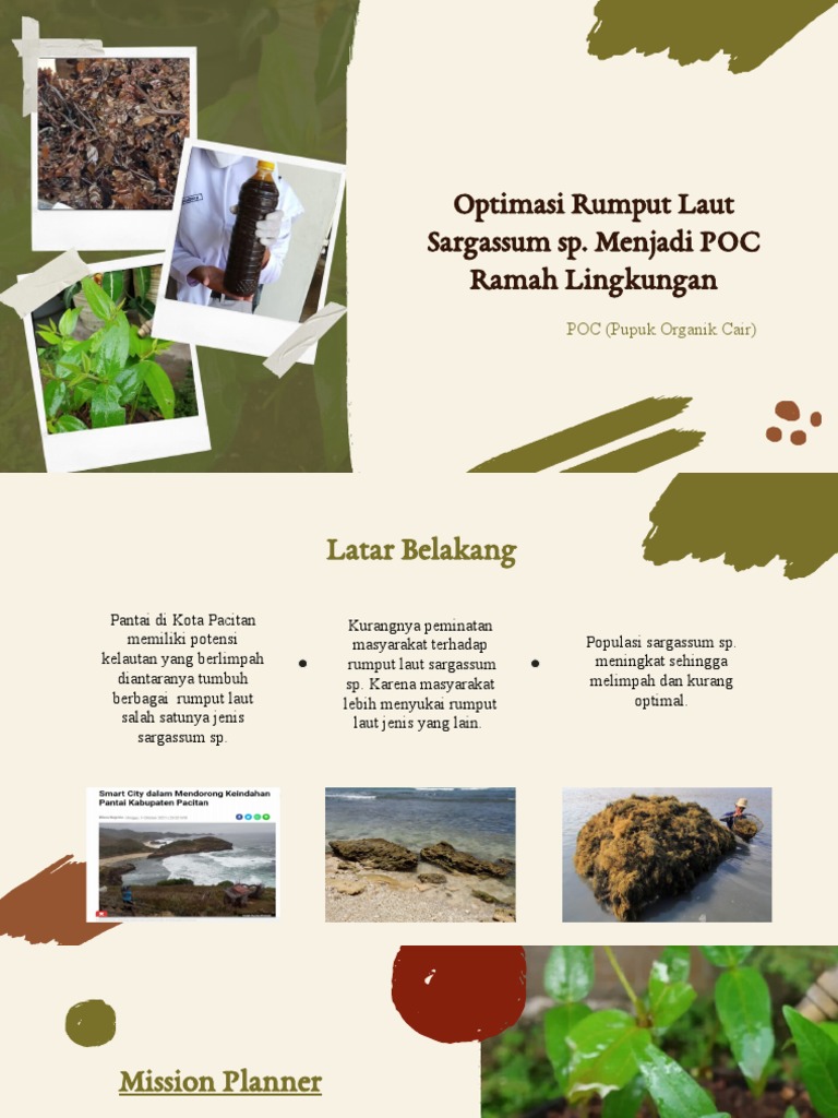 POCSargassumsp. XA5 KIR | PDF