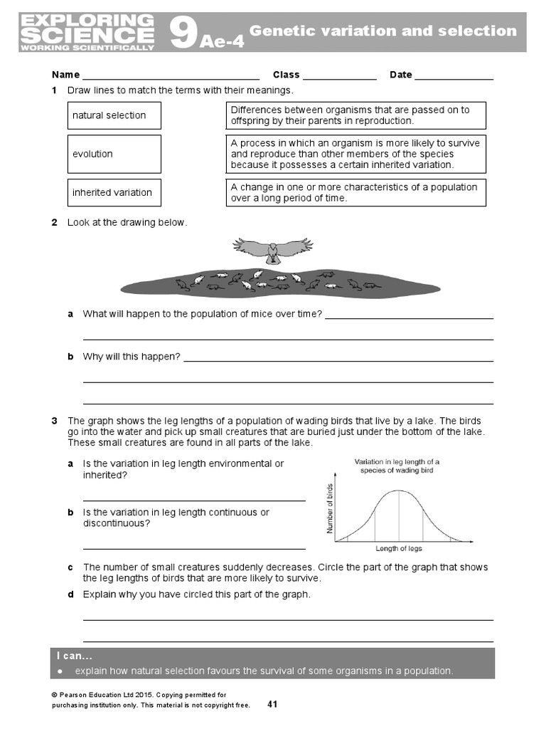 9ae-4 Genetic Var and Selec | PDF