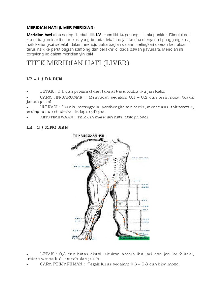 Meridian Hati (Liver Meridian) Meridian Hati LV | PDF