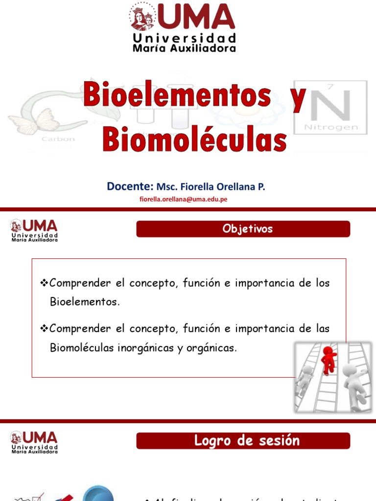 Clase 2. Bioelementos y Biomoléculas | PDF | Carbohidratos | Biomoléculas