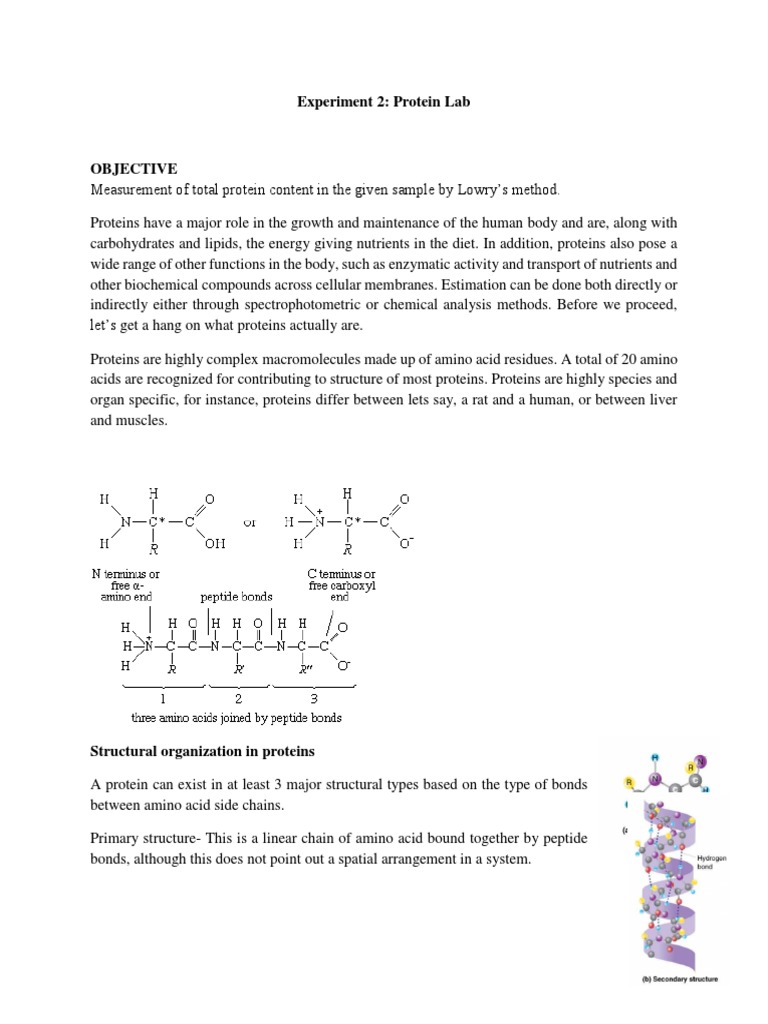 Protein Estimation | PDF | Absorbance | Chemistry