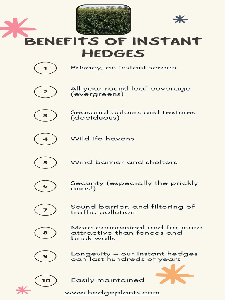 Benefits of Instant Hedges | PDF