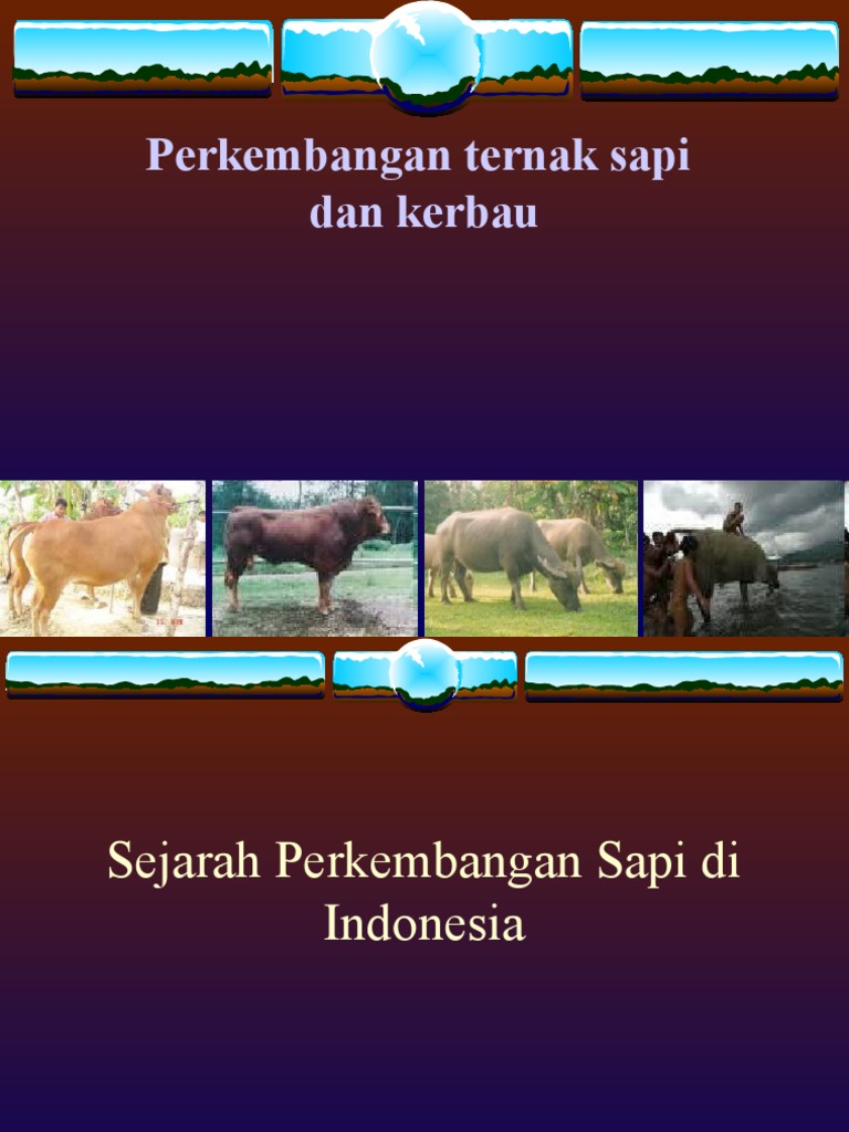 Perkembangan Ternak Sapi dan Kerbau | PDF | Griya & Taman