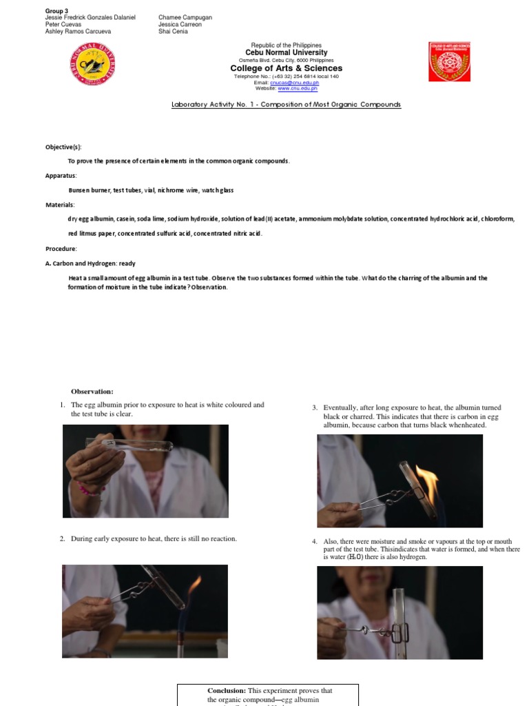 GROUP 3 - LABORATORY REPORT 1 - Composition-Of-Most-Organic-Compounds | PDF | Chlorine | Sodium ...