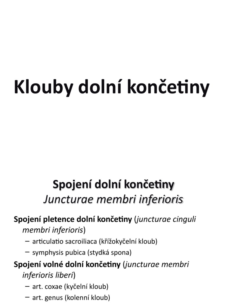 Klouby Dolní Končetiny | PDF