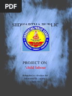 CHILD LABOR English Project | PDF | Child Labour | International Labour ...
