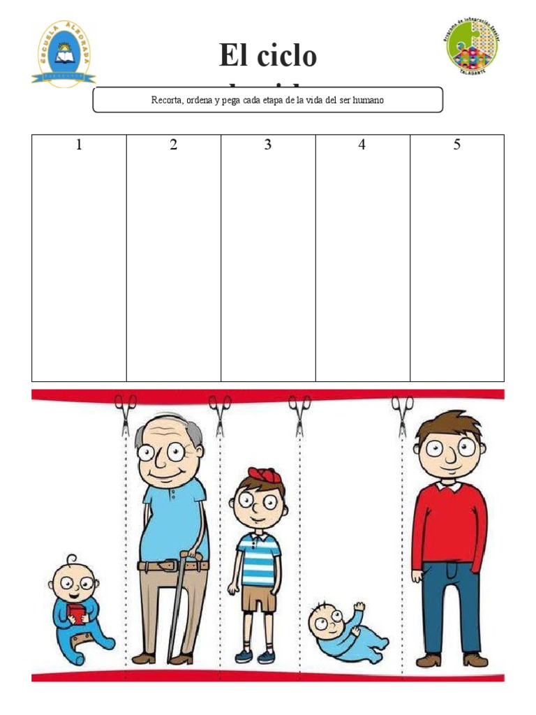 Ciclo de Vida | PDF