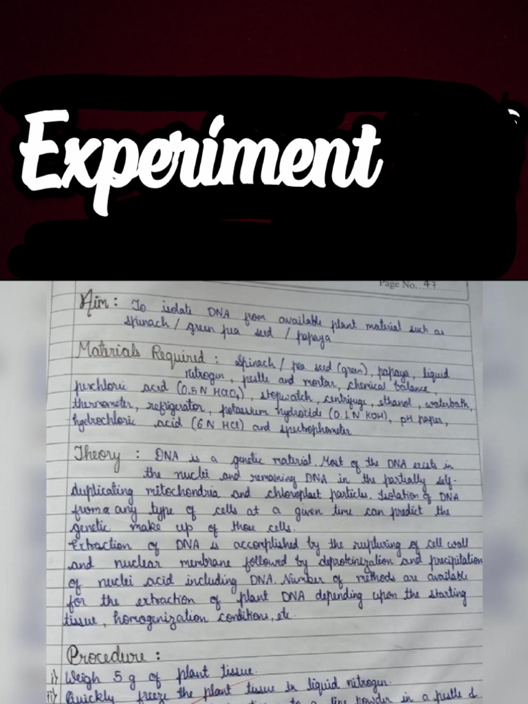 12th Practical Biology Experiment and Slide Preparation | PDF