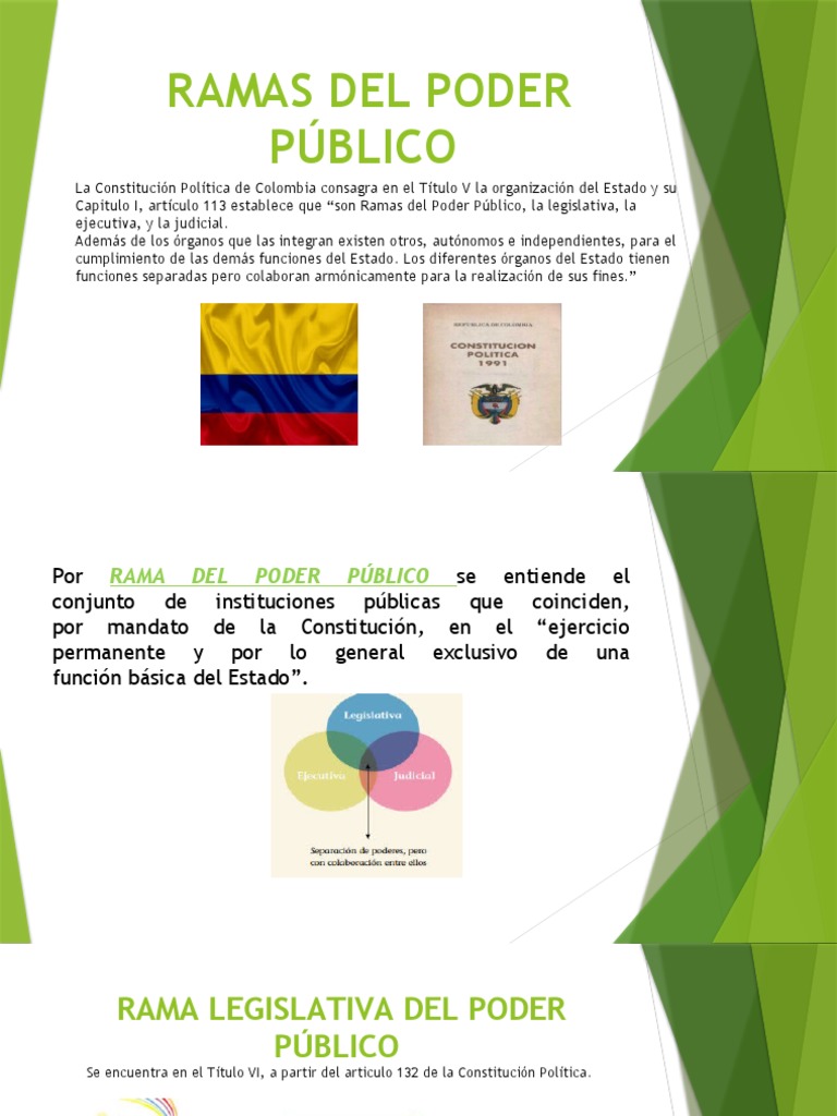 Ramas Del Poder Público | PDF | Jurisdicción | Justicia