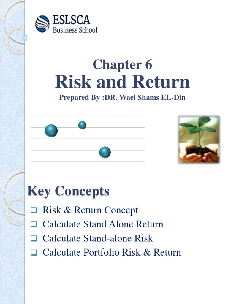 3.chapter 6 - Risk and Return | PDF