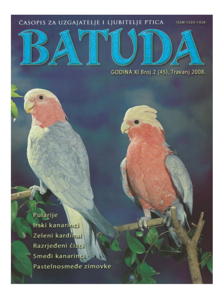 Batuda XI Broj 2 | PDF
