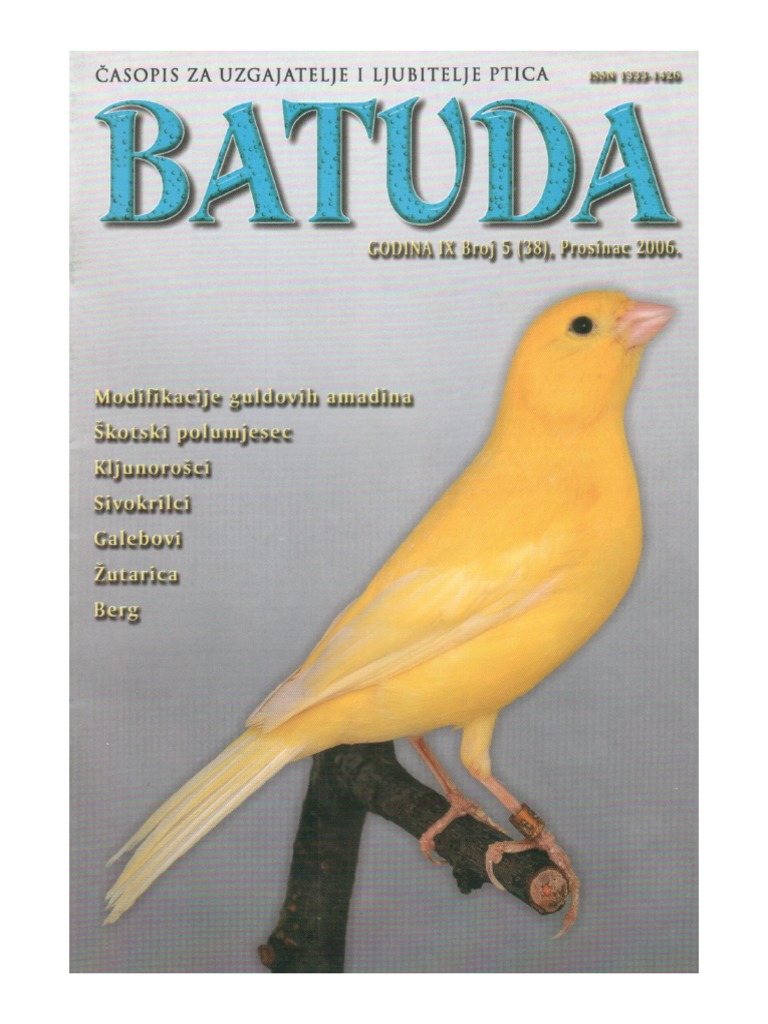 Batuda IX Broj 5 | PDF