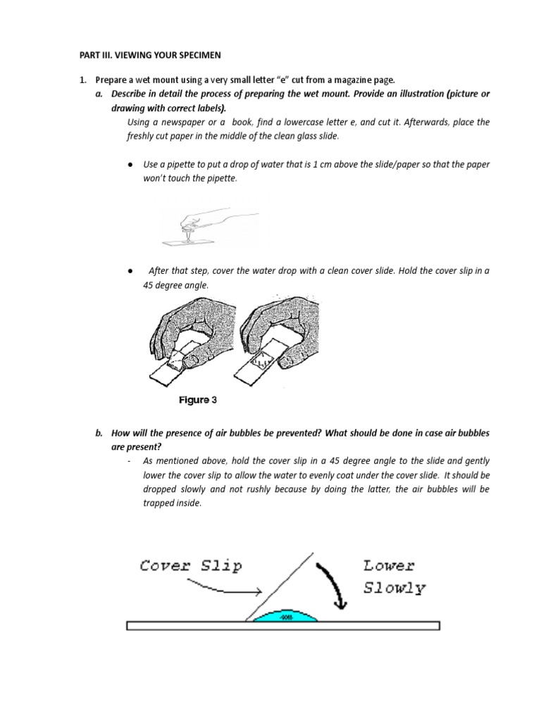 Exercise 1 The Compound Microscope (Parts III and IV) | PDF ...