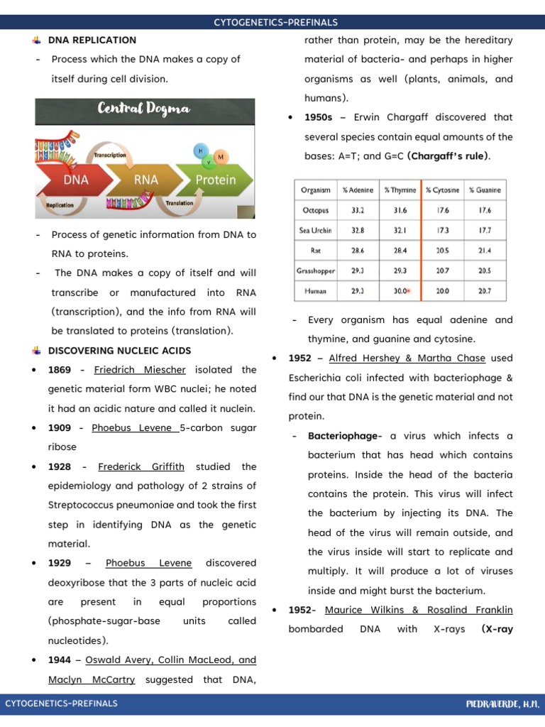 Dna Replication and Transcription | PDF | Rna | Dna