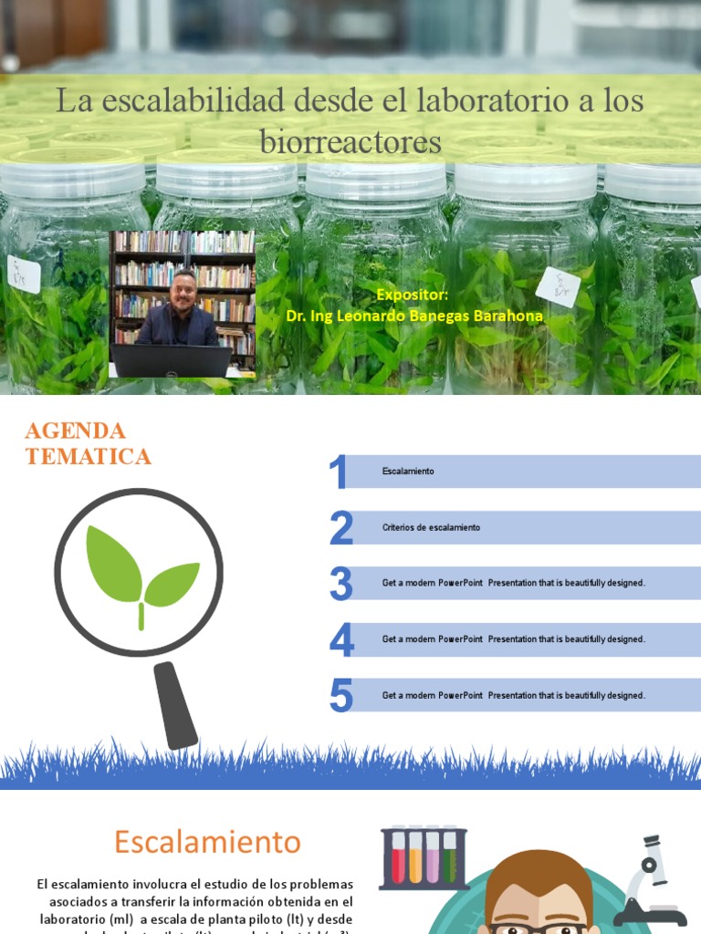 Escalabilidad en Procesos Biotecnologicos | PDF | Naturaleza | Metrología