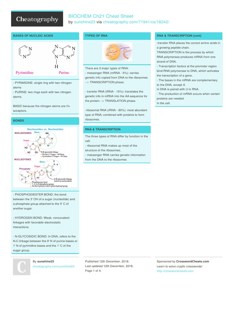Sunshine23 Biochem-Ch21 | PDF | Rna | Dna