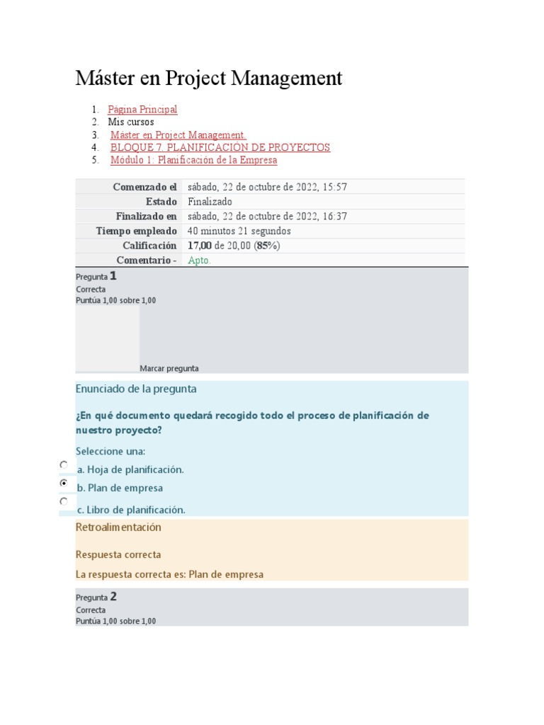 Máster en Project Management | PDF | Planificación | Realimentación