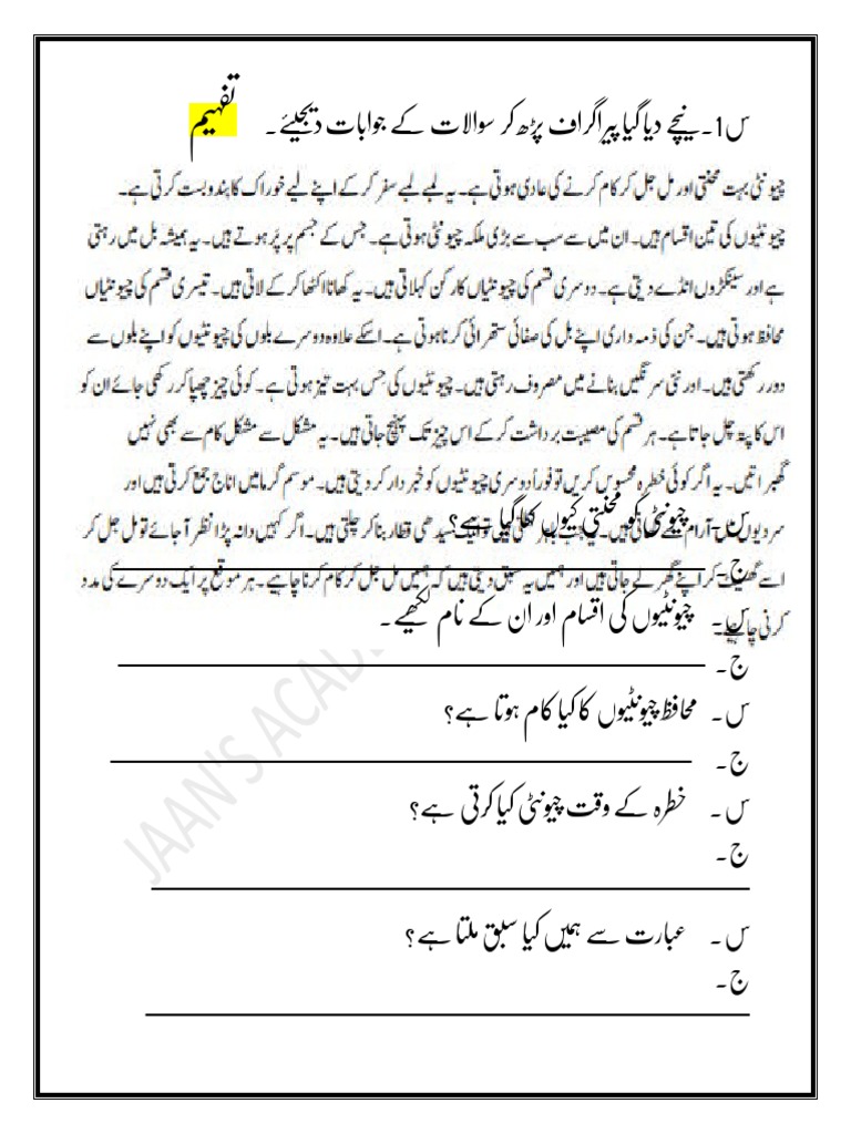 Grade 4 Urdu | PDF