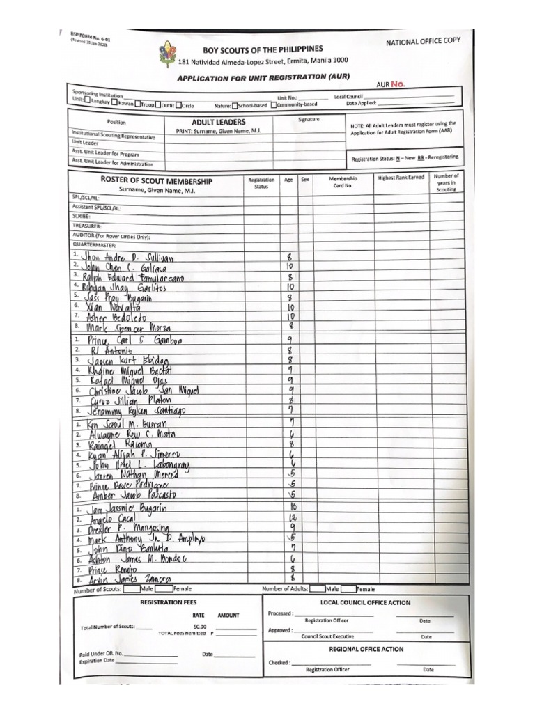 BSP FORM No. 6 01 | PDF